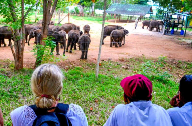 Embilipitiya - Top Rated Tourist Attraction Places in Sri Lanka | Sri ...