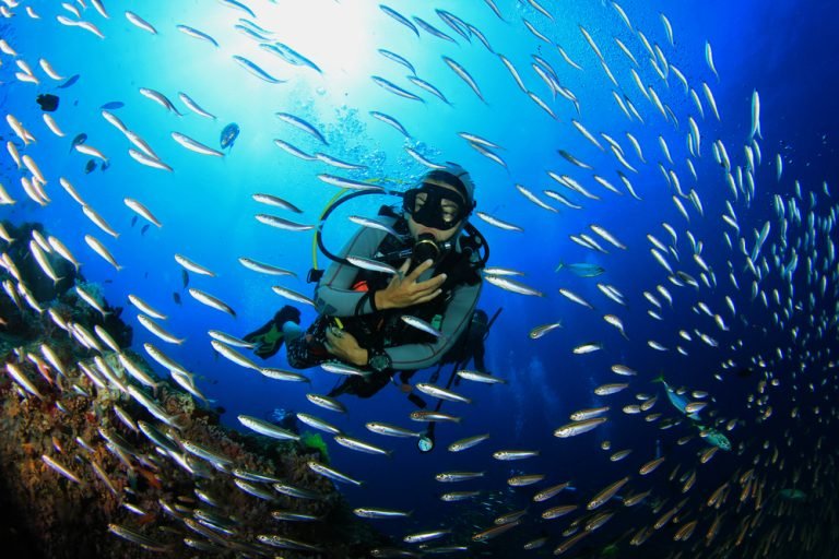 Scuba Diving in Sri Lanka (100+ Dive Sites) - Top Rated Tourist ...