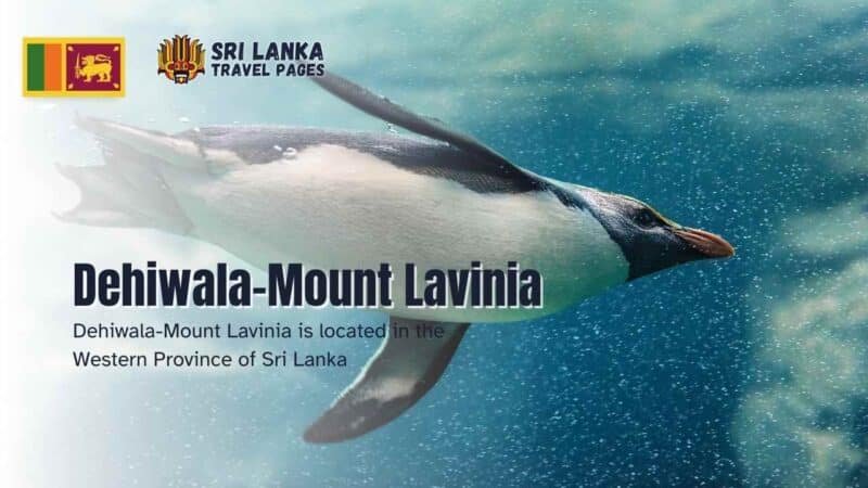 Dehiwala-Mount Lavinia
