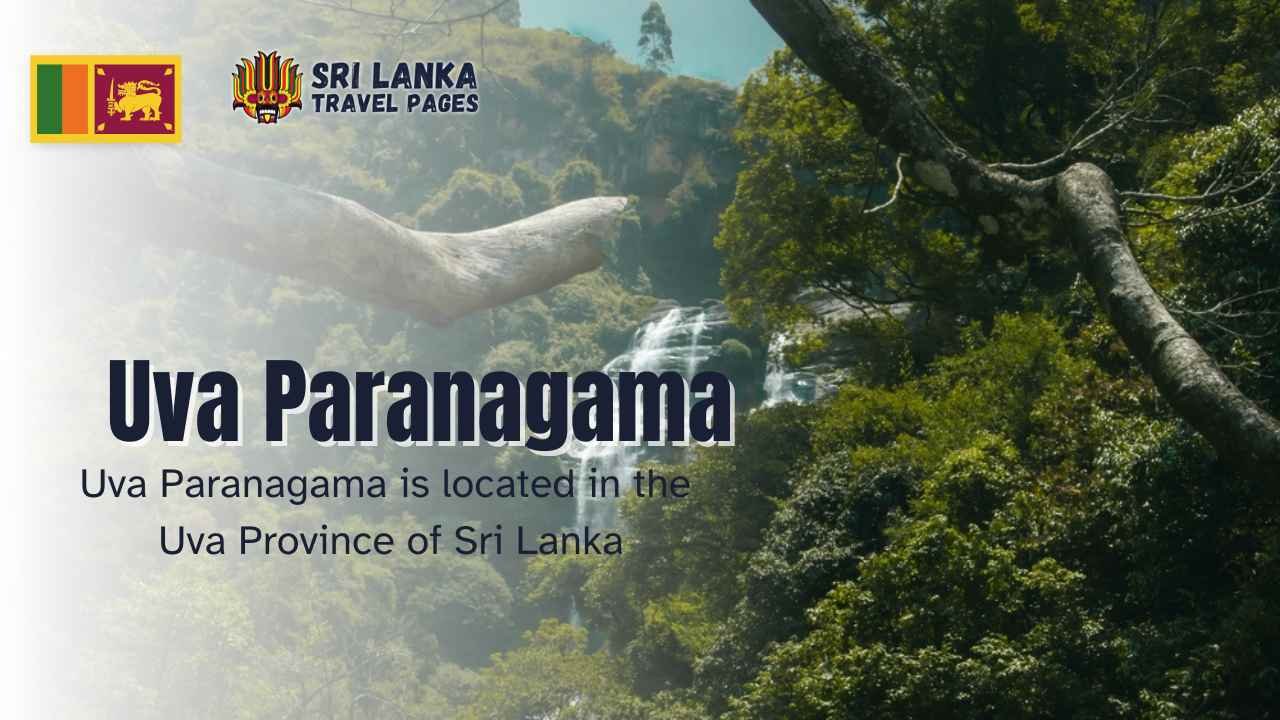 Uva-Paranagama