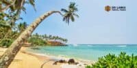 16 Places to Visit and Things to do in Mirissa