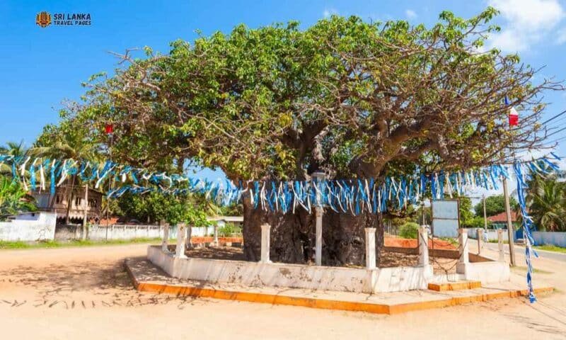 14 Best Places to Visit In Mannar - Sri Lanka