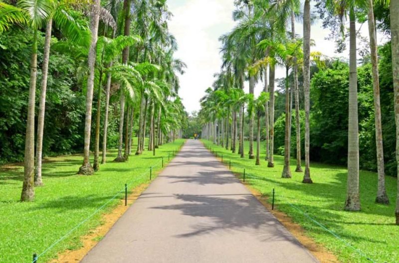 Best Places to visit in Gampaha