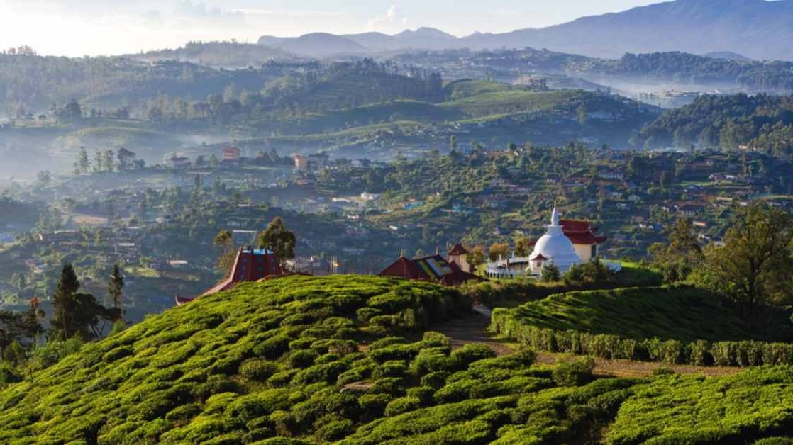 Single Tree Hill - Nuwara Eliya