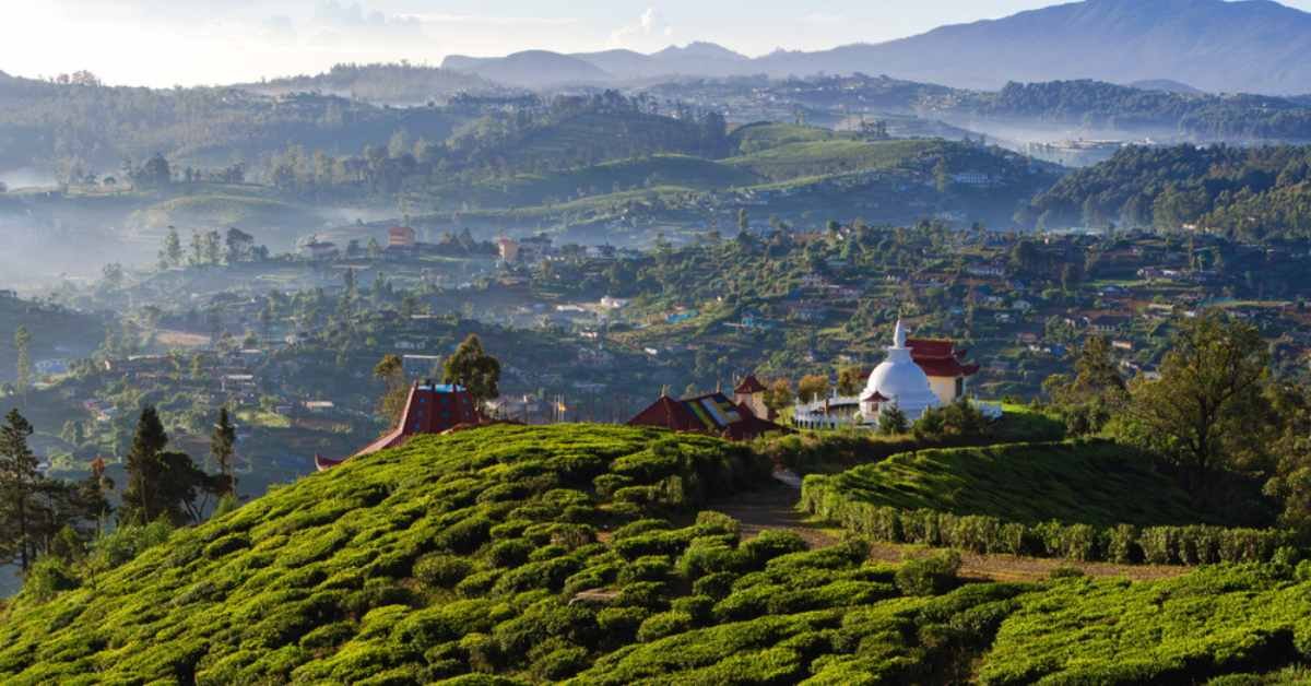 Single Tree Hill - Nuwara Eliya