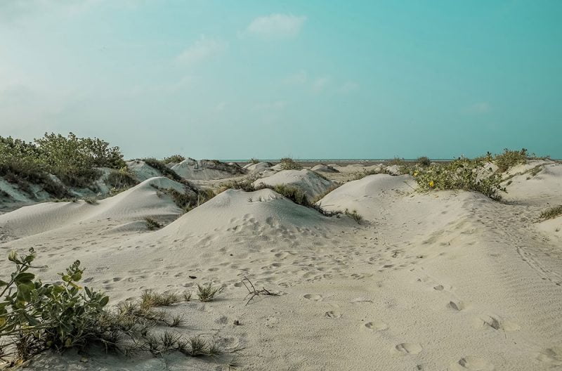 Adam's Bridge Marine National Park