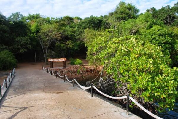 25 Places to Visit in Trincomalee