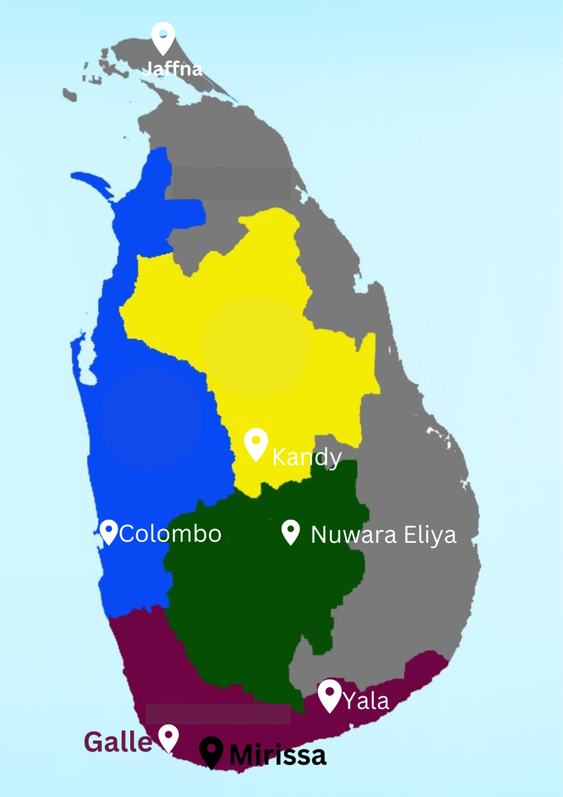 16 Places to Visit and Things to do in Mirissa