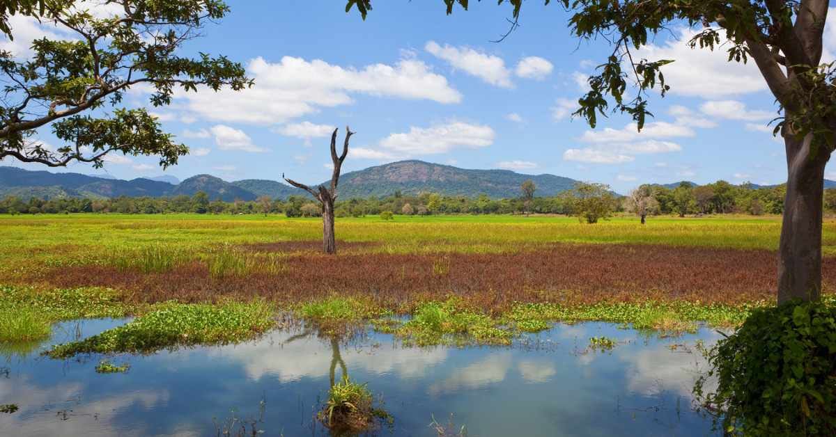 Flood Plains National Park