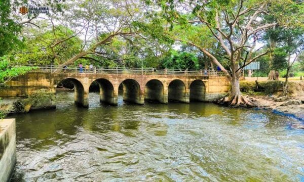 14 Best Places to Visit In Mannar - Sri Lanka